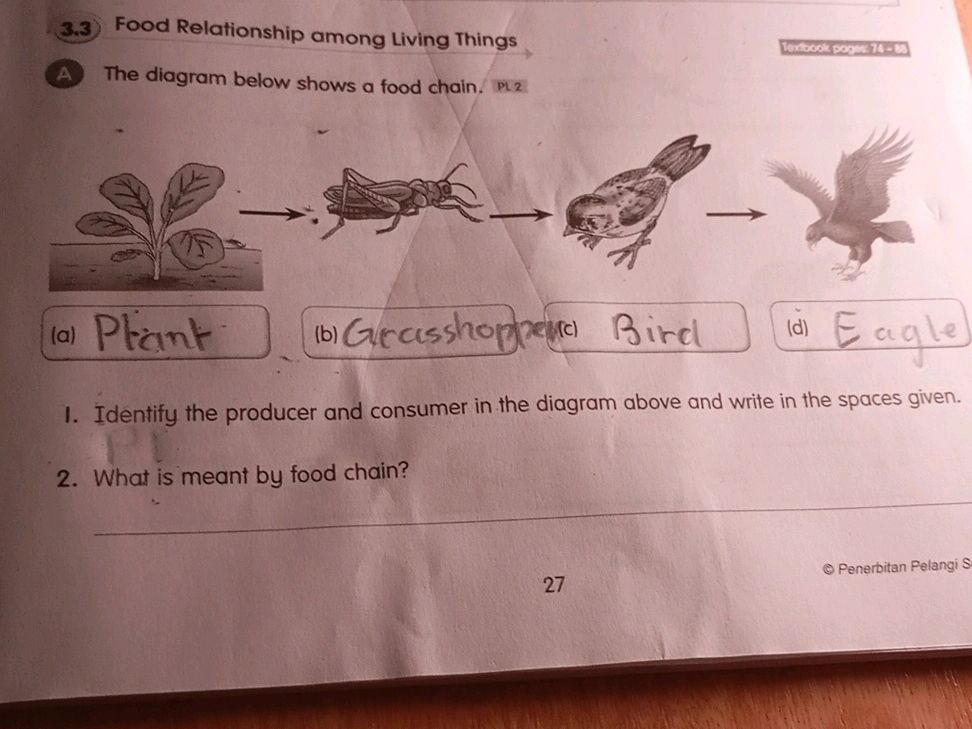 The diagram below shows a food chain. (a) | StudyX