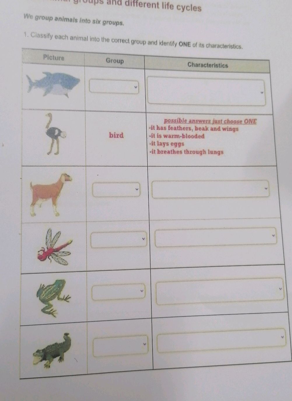 1. Classify each animal into the correct | StudyX