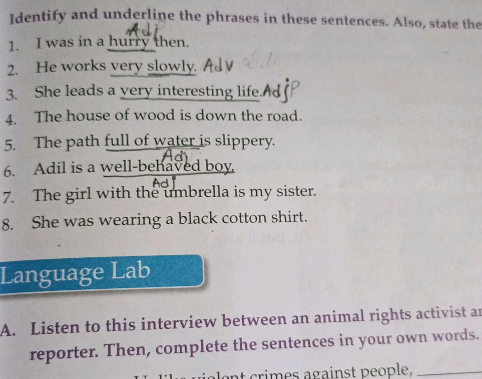 Identify and underline the phrases in these | StudyX