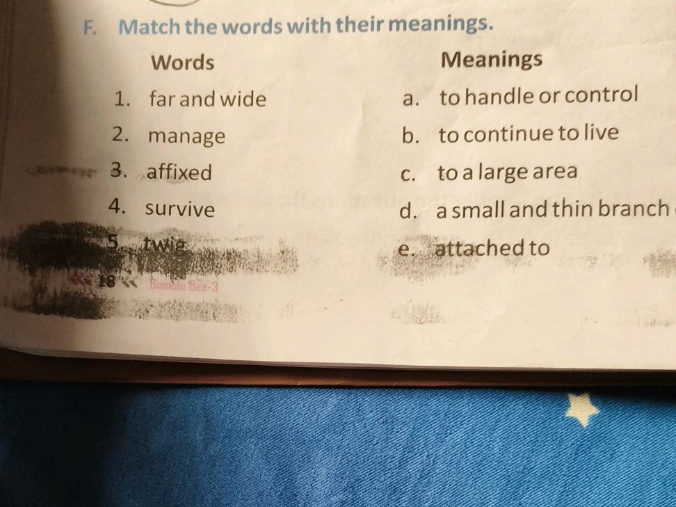 F. Match the words with their meanings. | StudyX