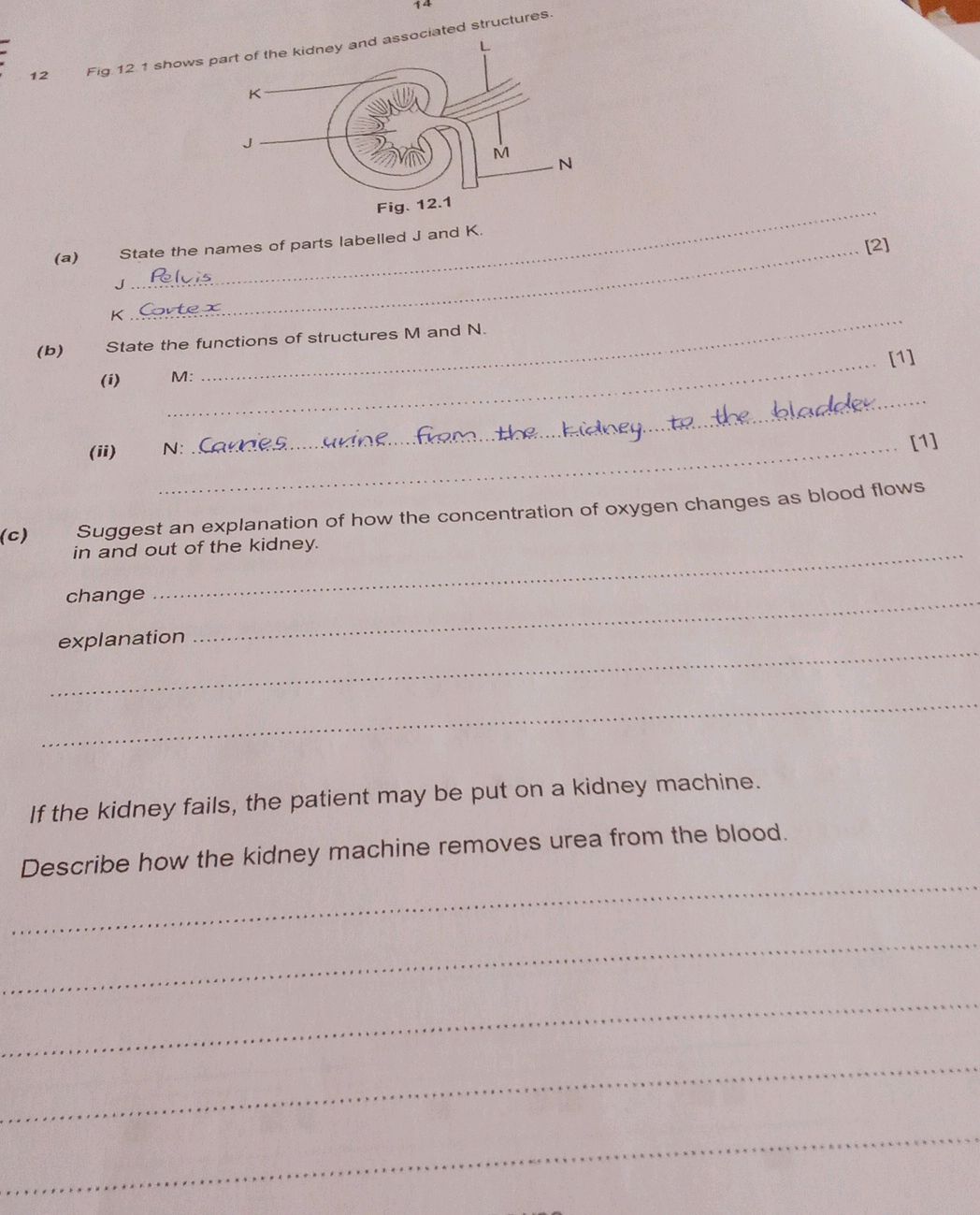 (a) State the names of parts labelled J and | StudyX
