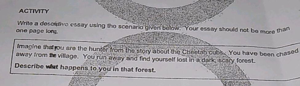 Write a descritive essay using the scenario | StudyX