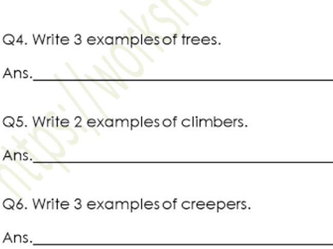 Q4. Write 3 examples of trees. Ans. Q5. | StudyX Q4. Write 3 examples of trees. Ans. Q5. | StudyX