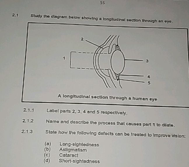 Study the diagram below showing a | StudyX