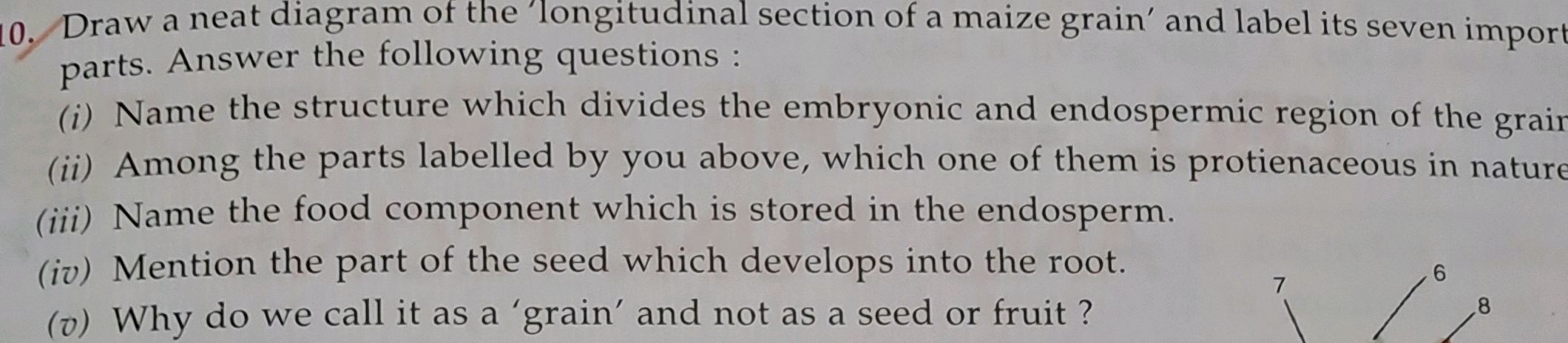 10. Draw a neat diagram of the 'longitudinal | StudyX