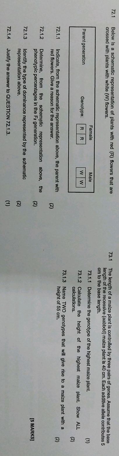 72.1 Below is a schematic representation of | StudyX