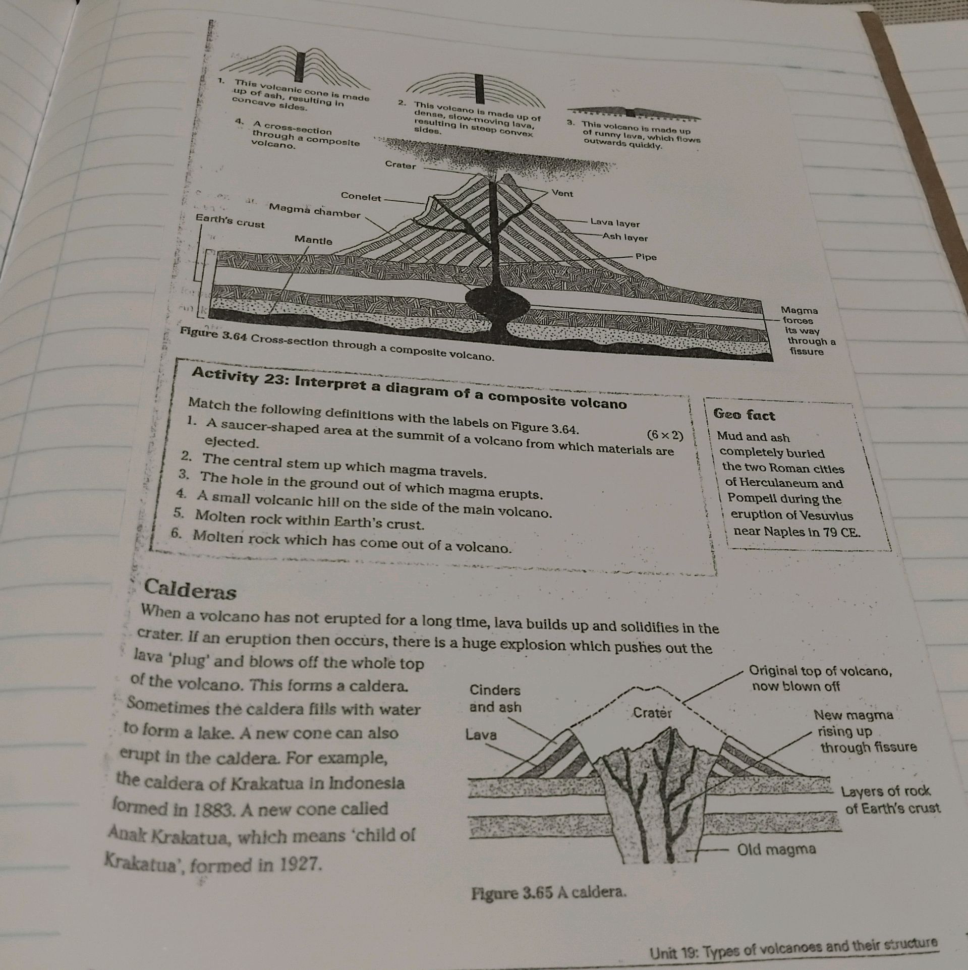 Activity 23: Interpret a diagram of a | StudyX