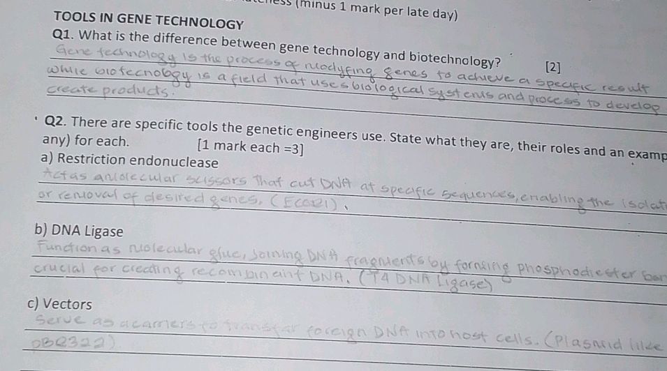 Q1. What is the difference between gene | StudyX