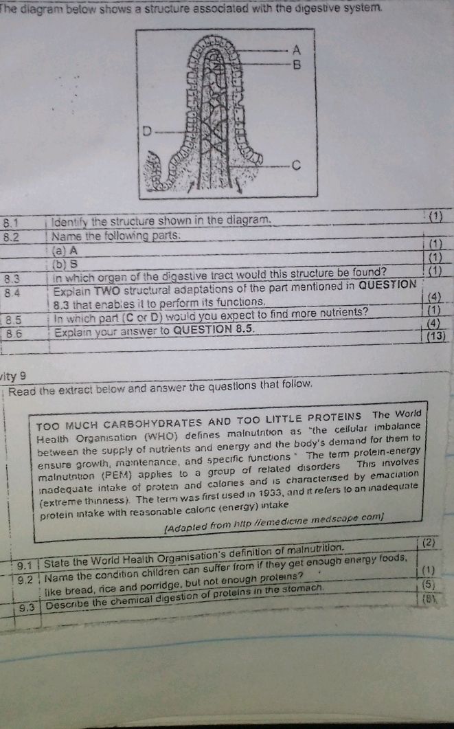 The diagram below shows a structure | StudyX