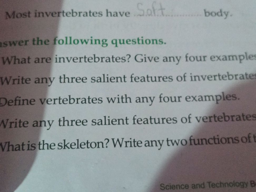 What are invertebrates? Give any four | StudyX