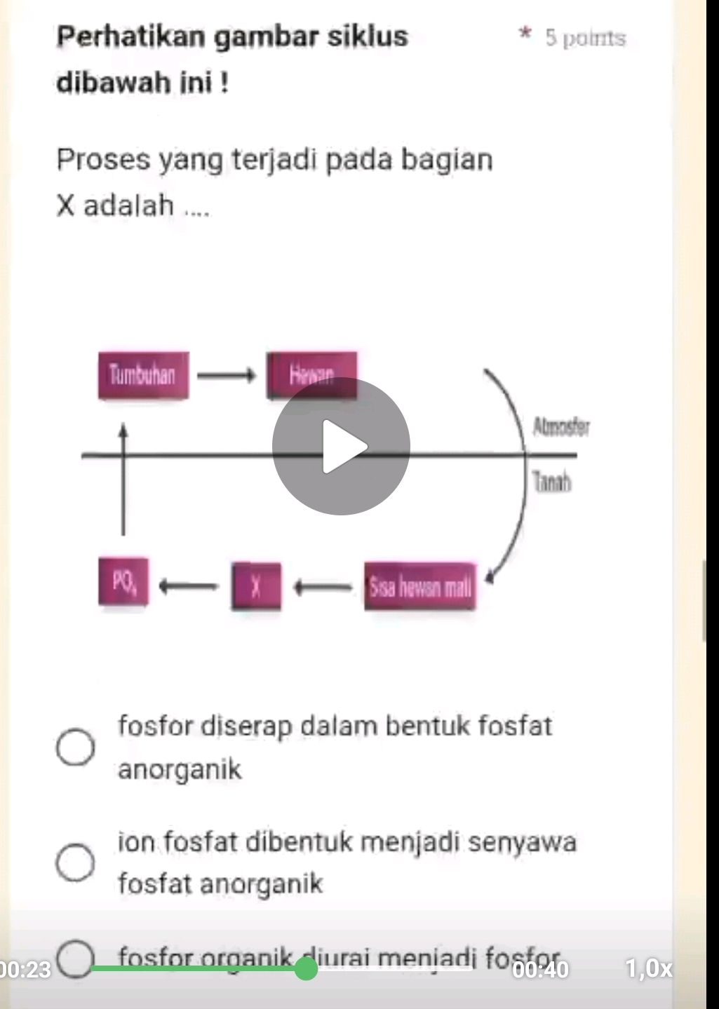 Perhatikan gambar siklus dibawah ini! | StudyX
