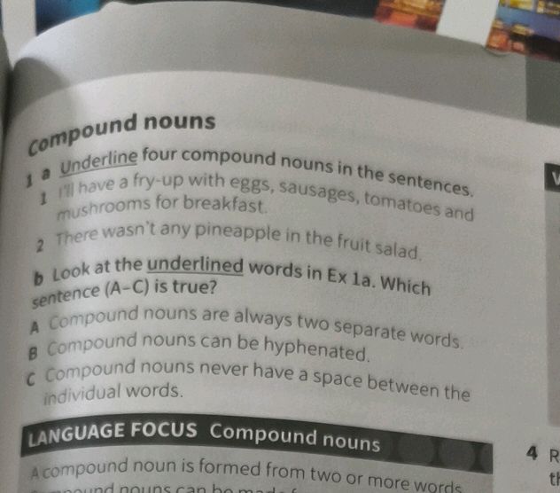 1 a Underline four compound nouns in the | StudyX