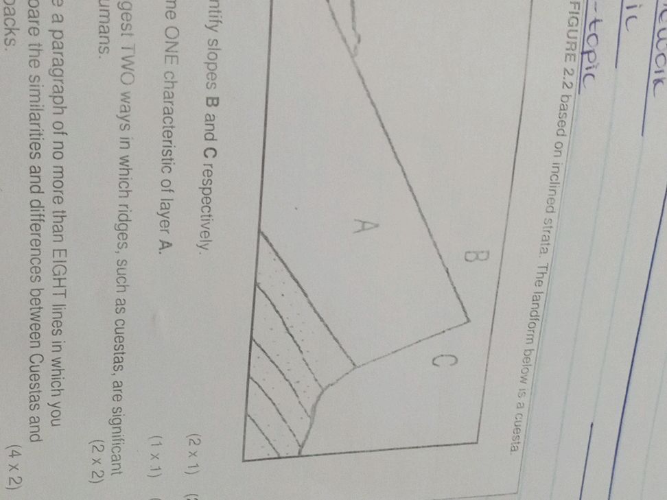 FIGURE 2.2 based on inclined strata. The | StudyX
