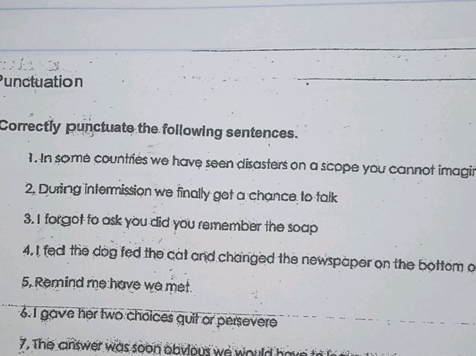 Correctly punctuate the following sentences. | StudyX