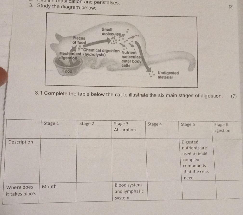 3. Study the diagram below: ![Diagram of a | StudyX