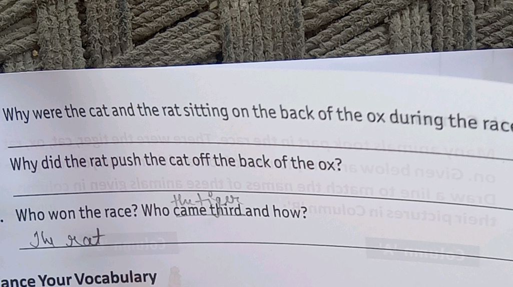 Why were the cat and the rat sitting on the | StudyX