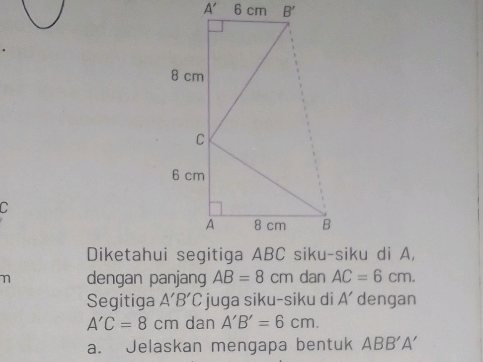 Diketahui segitiga ABC siku-siku di A, | StudyX