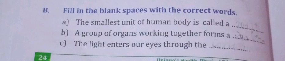 Fill in the blank spaces with the correct | StudyX