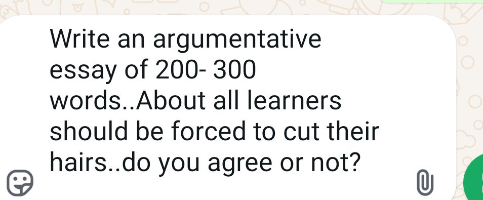 Write an argumentative essay of 200-300 | StudyX