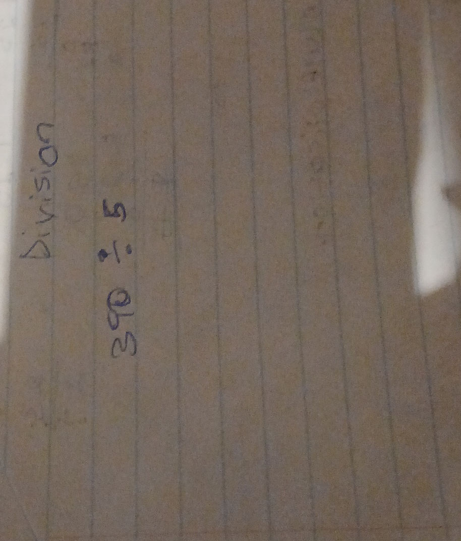 Division: 390 divided by 5 | StudyX