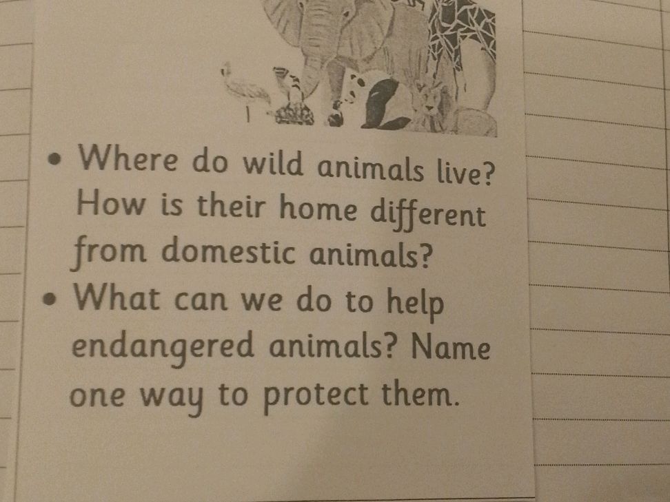 Where do wild animals live? How is their