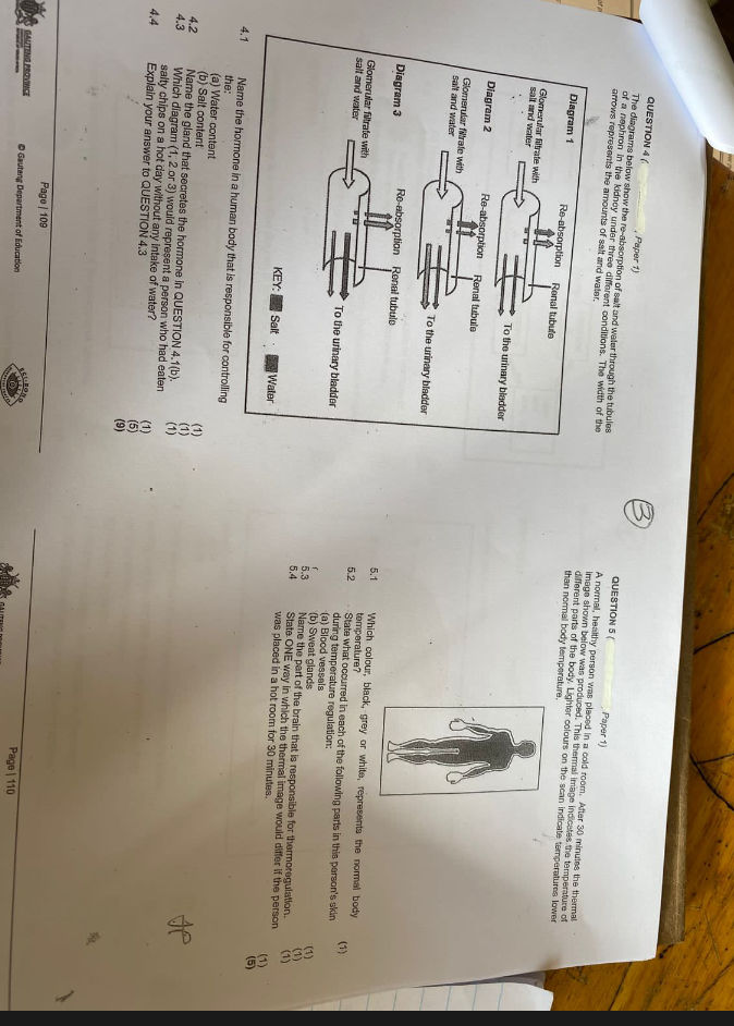 QUESTION 4 (Paper 1) The diagrams below show | StudyX