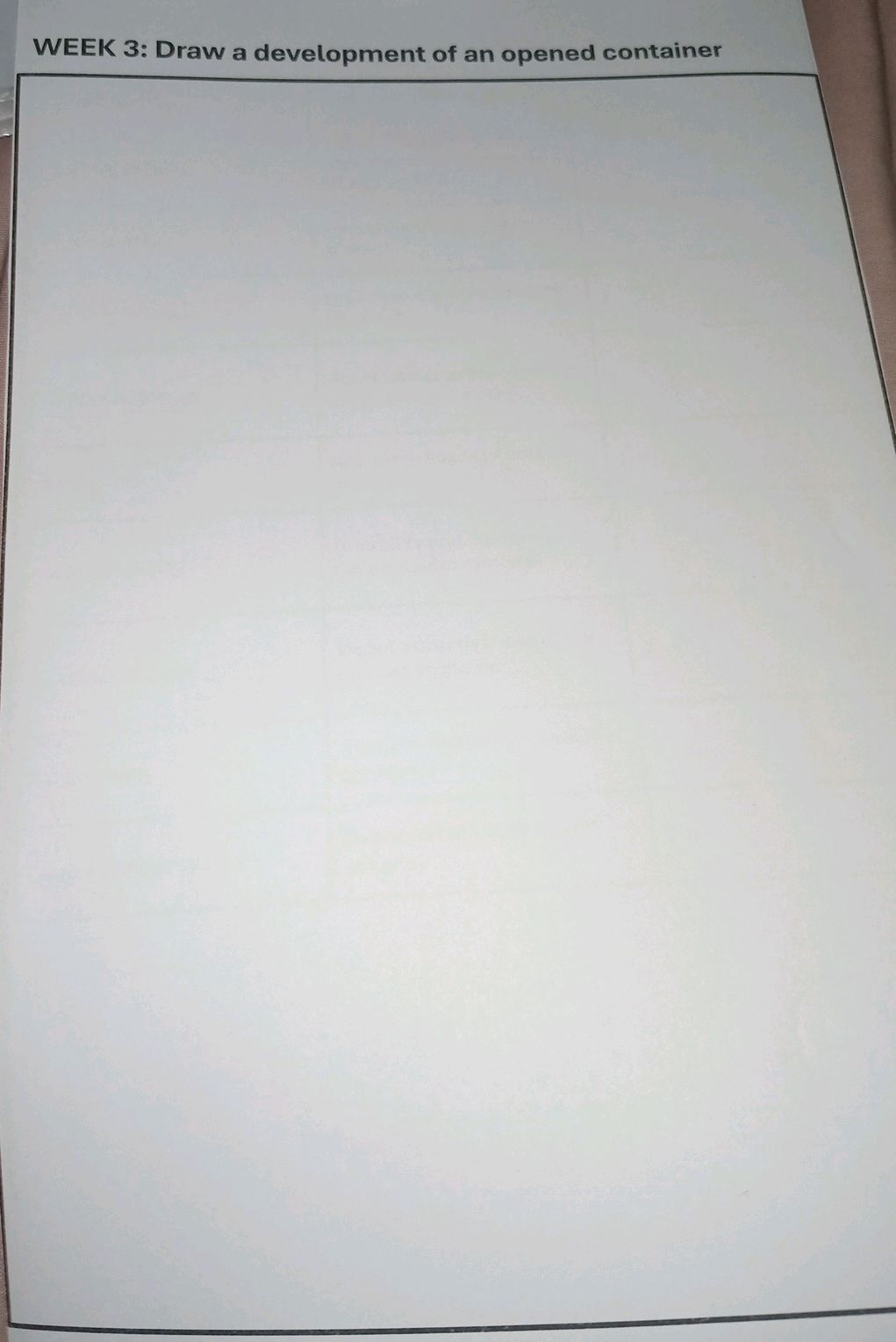 WEEK 3: Draw a development of an opened | StudyX