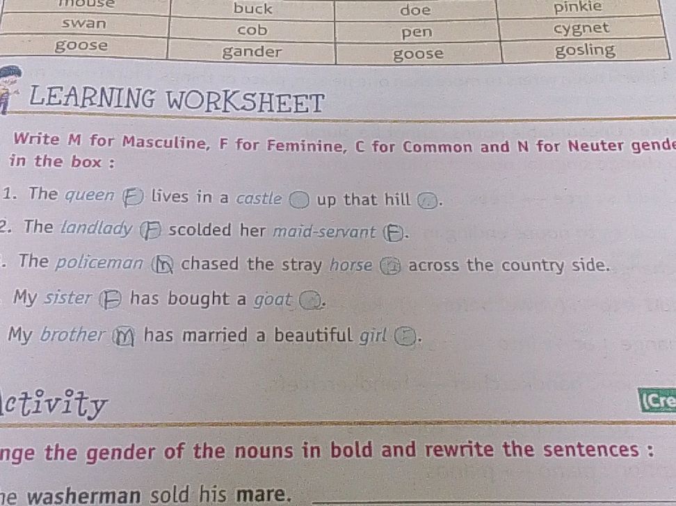 Write M for Masculine, F for Feminine, C for | StudyX