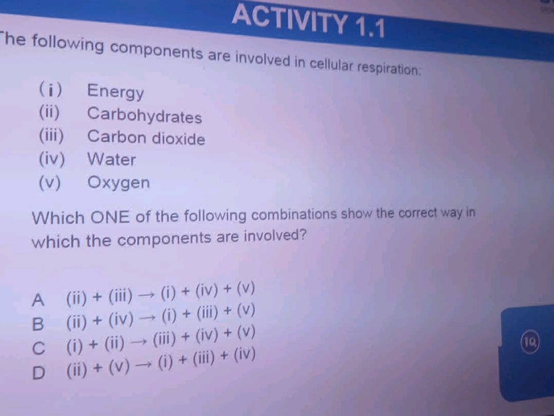 The following components are involved in | StudyX