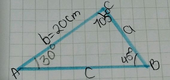 A triangle is shown with the following | StudyX