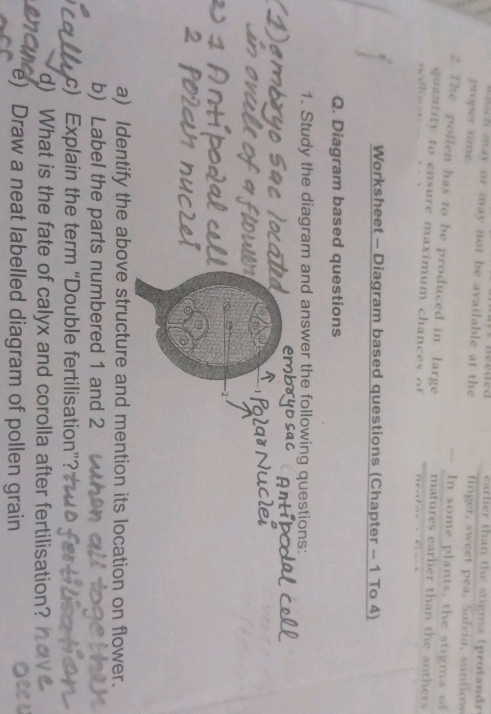 Q. Diagram based questions 1. Study the | StudyX