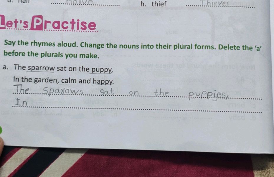 Say the rhymes aloud. Change the nouns into | StudyX