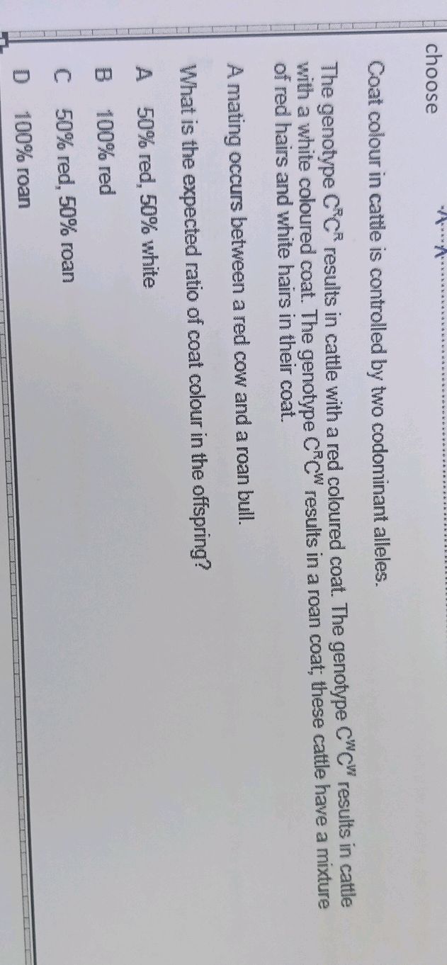 Coat colour in cattle is controlled by two | StudyX