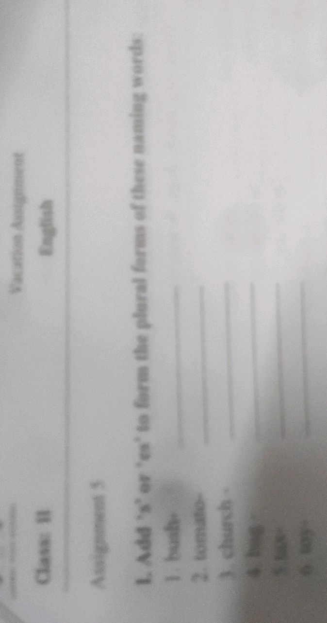 1. Add 's' or 'es' to form the plural forms | StudyX