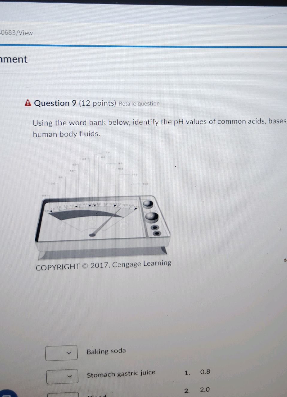 Using the word bank below, identify the pH | StudyX