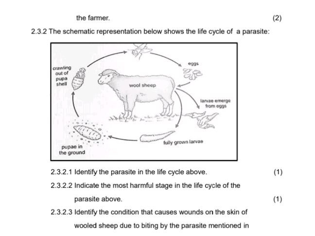 2.3.2 The schematic representation below | StudyX