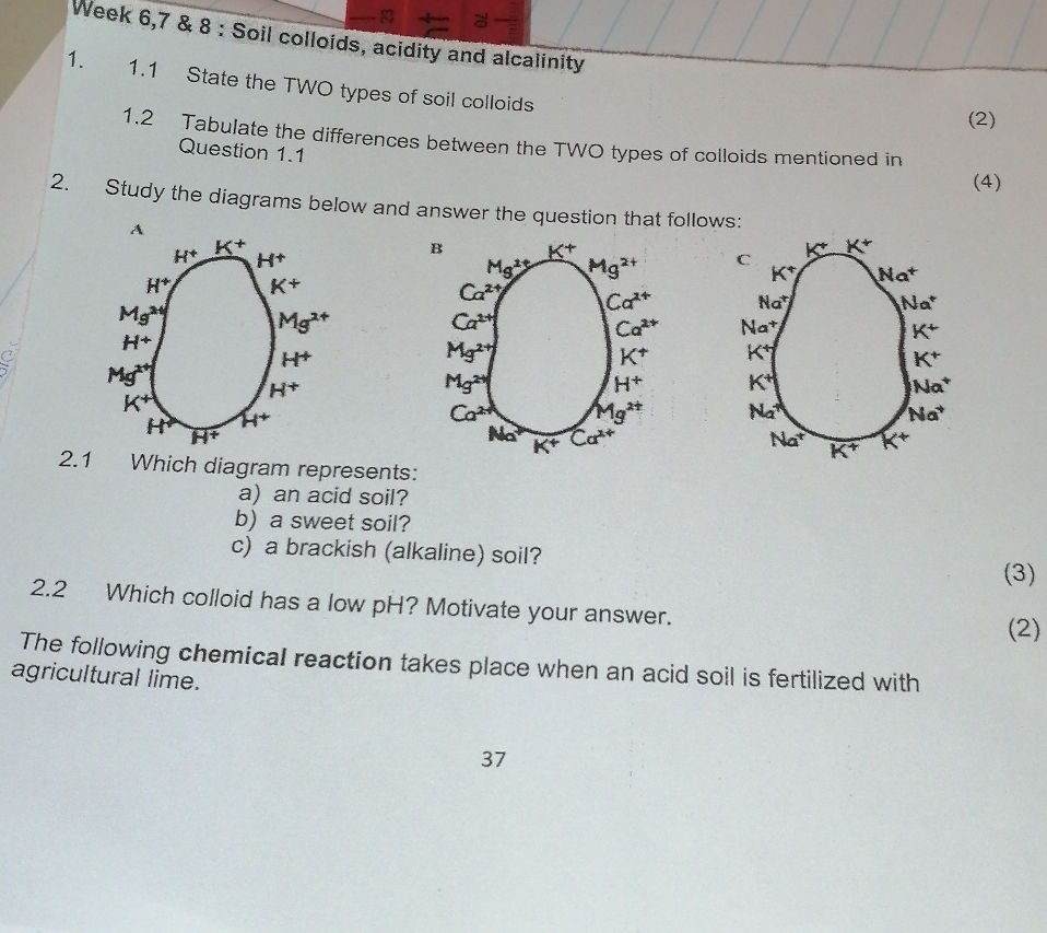2. Study the diagrams below and answer the | StudyX