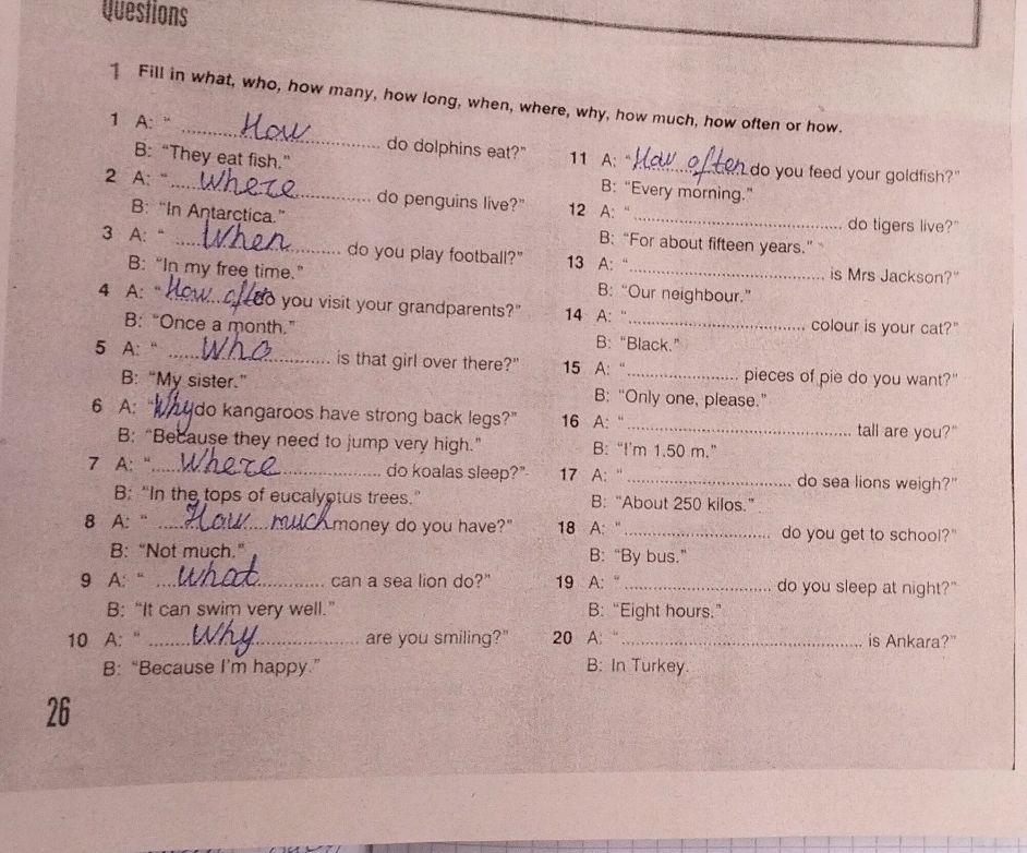 1 Fill in what, who, how many, how long, | StudyX