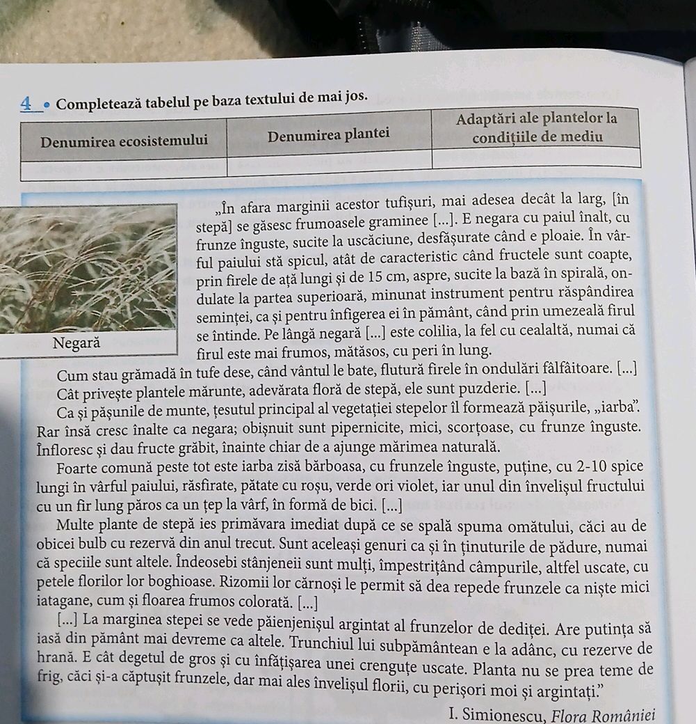 Completează tabelul pe baza textului de mai | StudyX