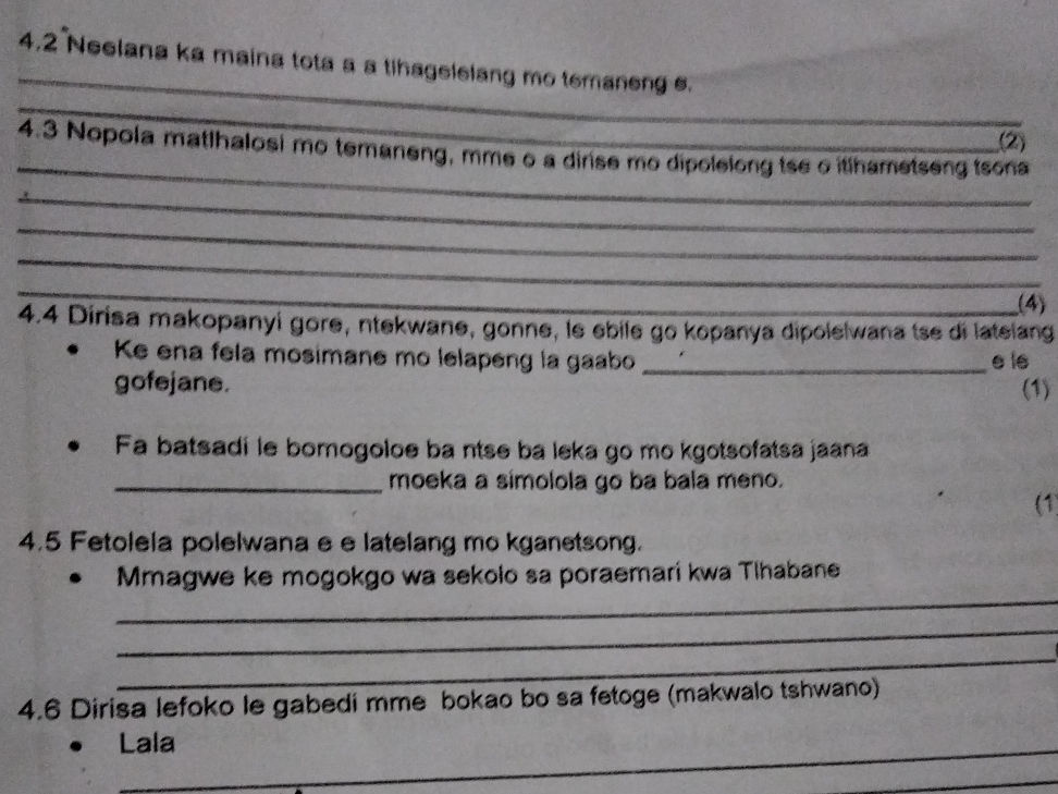 4.2 Neelana ka maina tota a a tihagelelang | StudyX