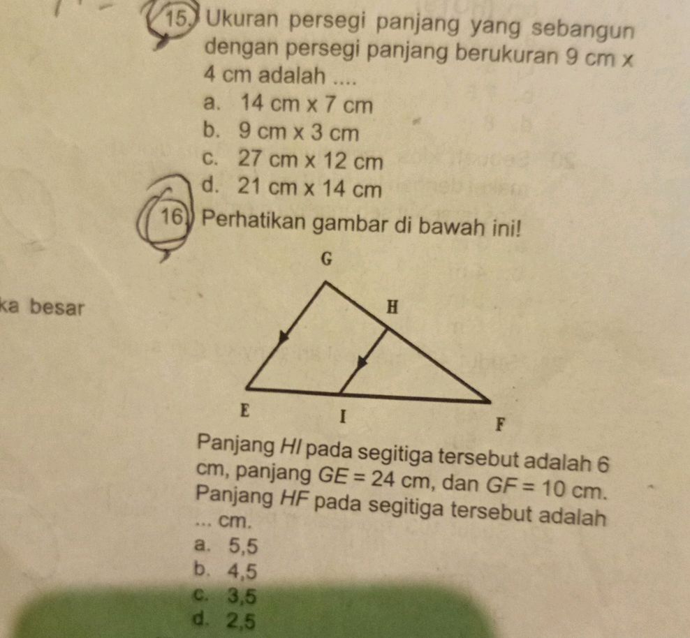 15. Ukuran persegi panjang yang sebangun | StudyX