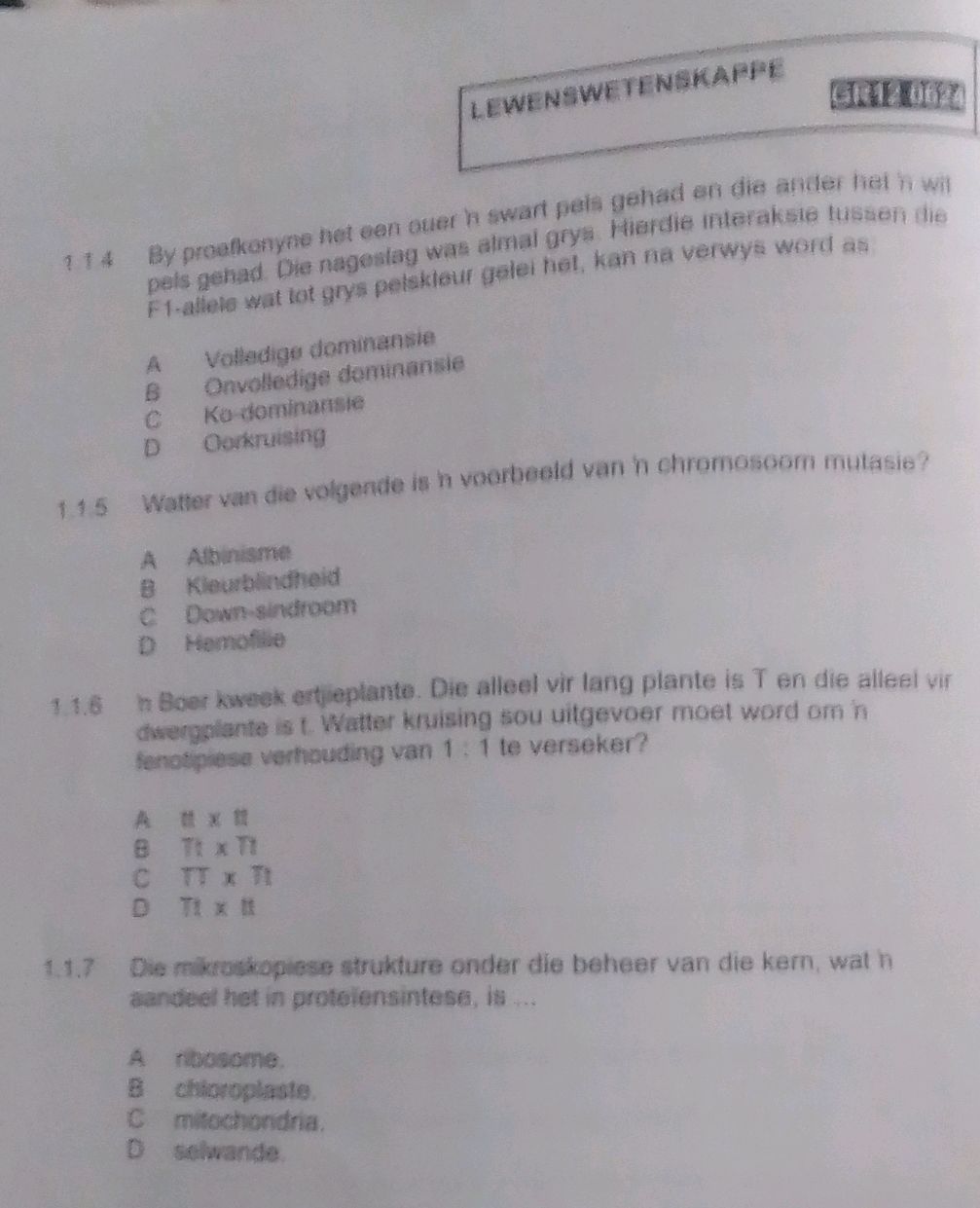 1.1.4 By proefkonyne het een ouer 'n swart | StudyX