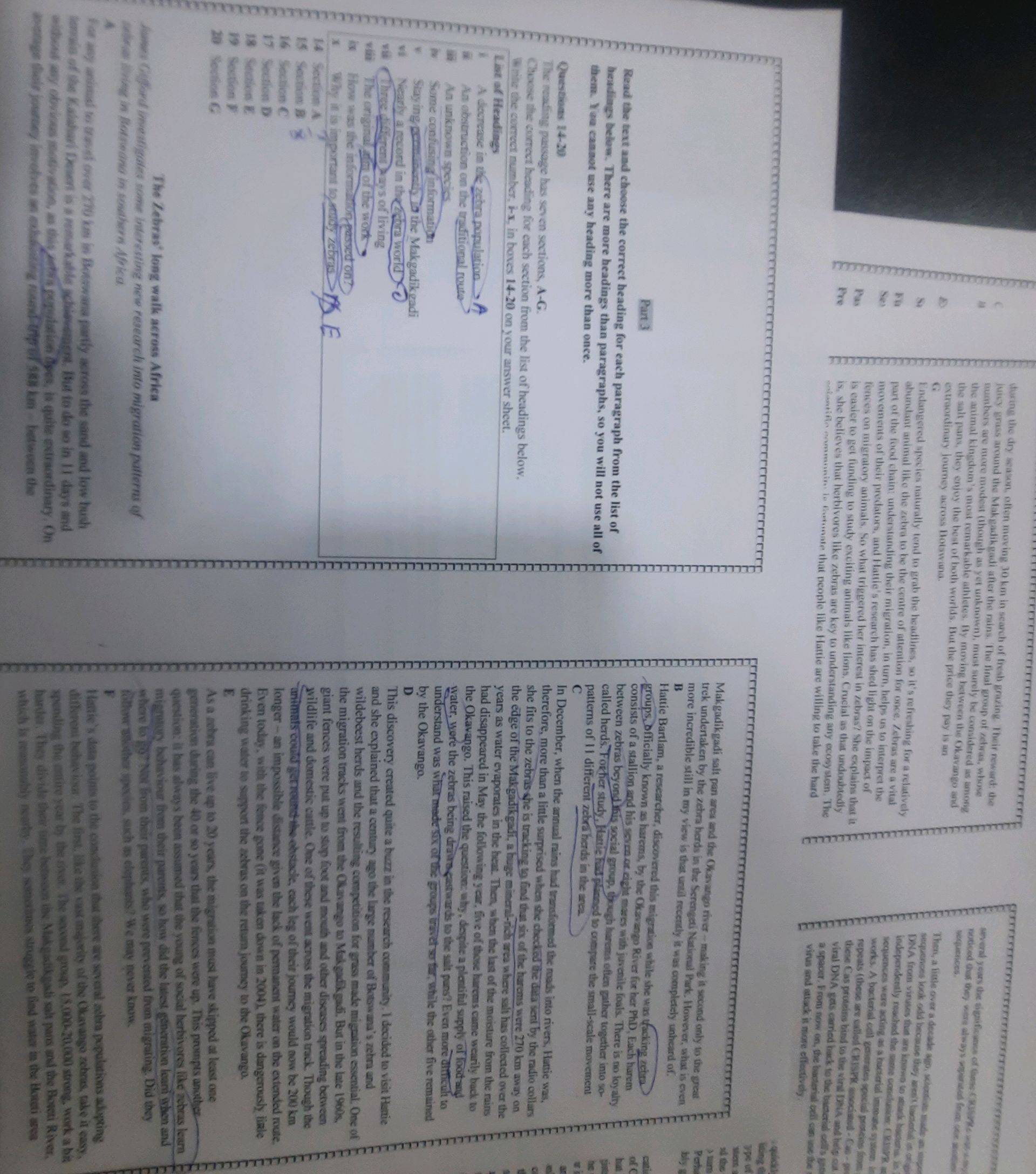 Questions 14-20 The reading passage has | StudyX