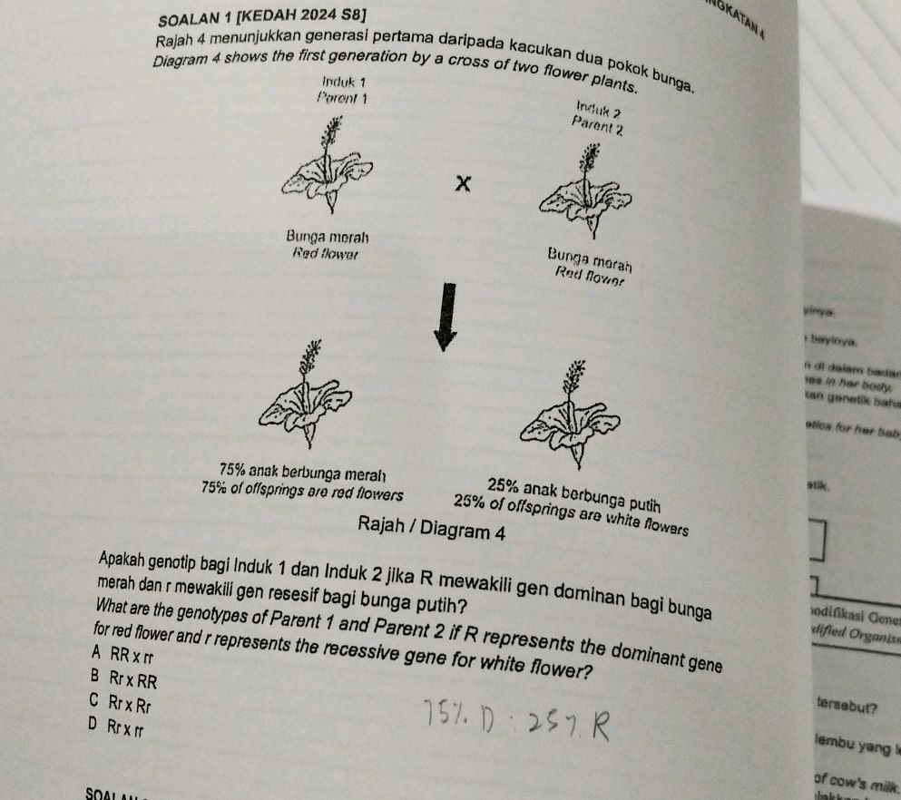 Apakah genotip bagi Induk 1 dan Induk 2 jika | StudyX