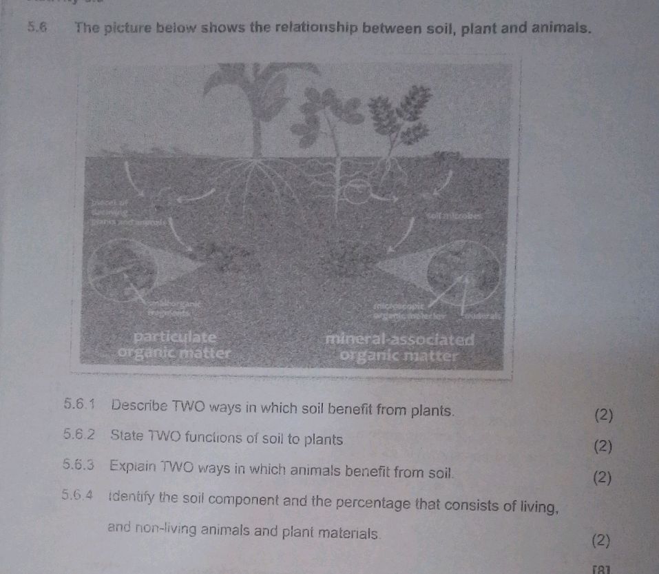 5.6 The picture below shows the relationship | StudyX