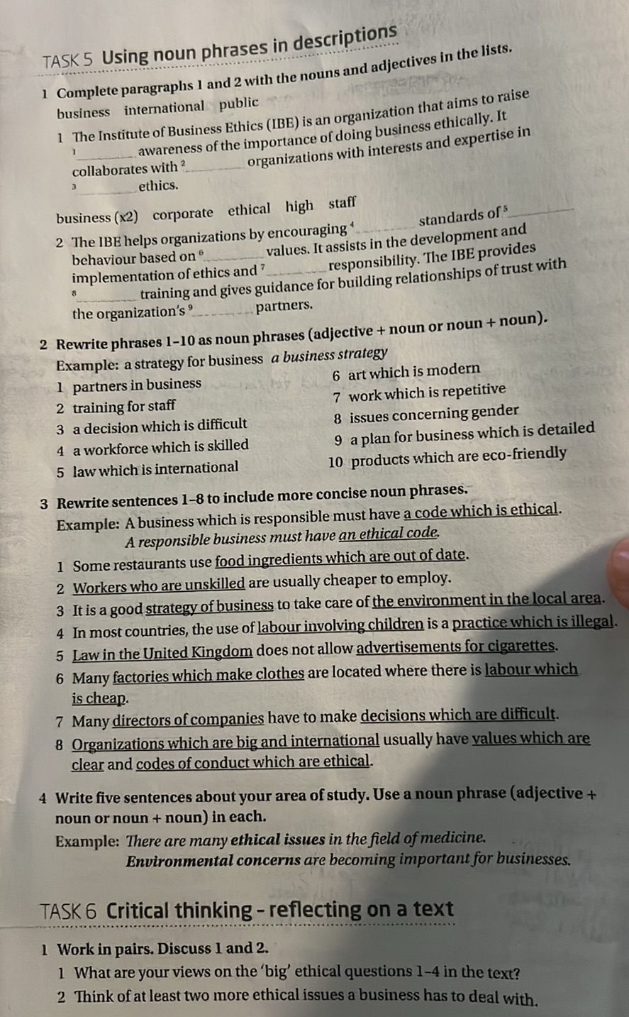 TASK 5 Using noun phrases in descriptions 1 | StudyX