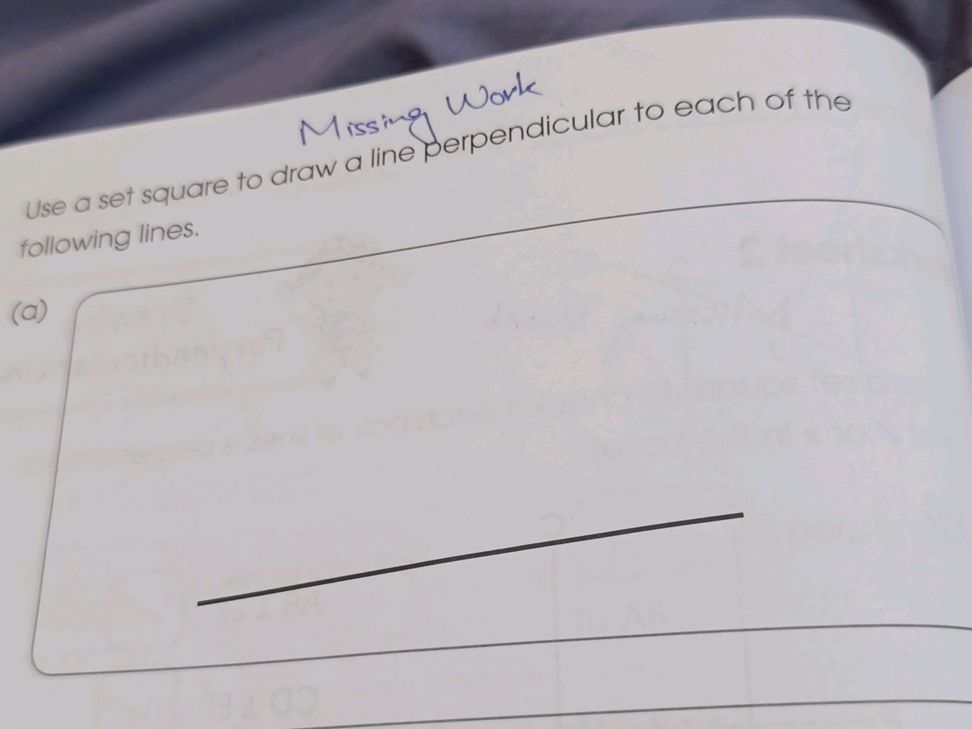 Missing Work Use a set square to draw a line | StudyX