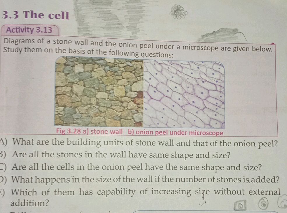Diagrams of a stone wall and the onion peel | StudyX