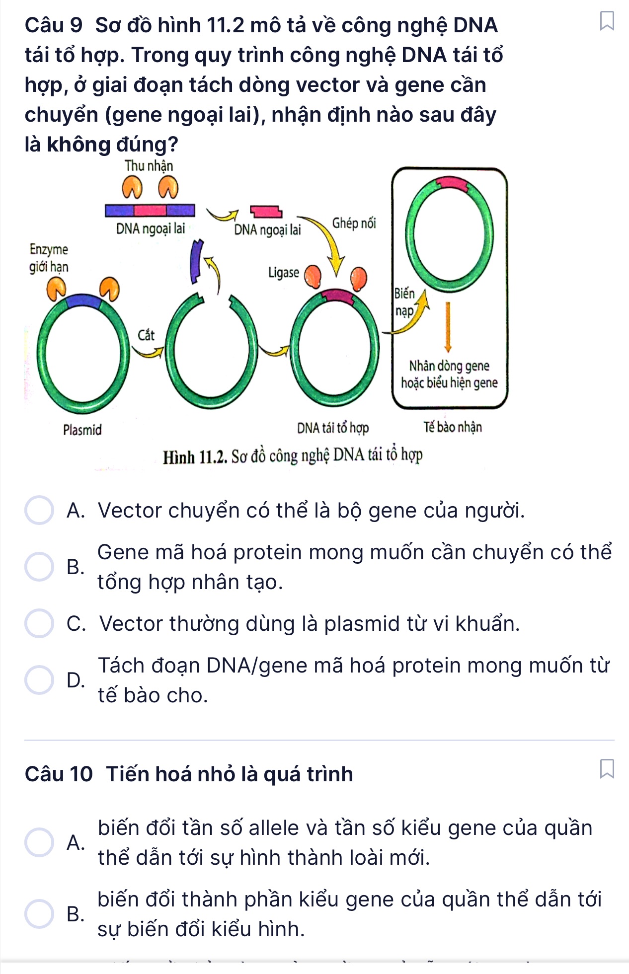 Câu 9 Sơ đồ hình 11.2 mô tả về công nghệ DNA | StudyX