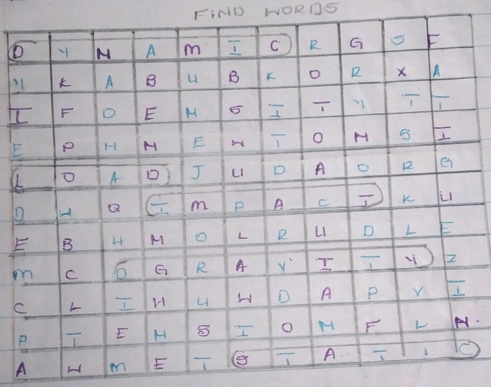 FIND WORDS This is a word search puzzle. | StudyX